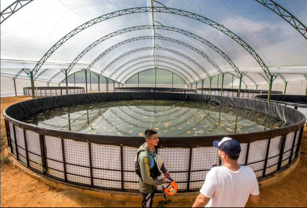 Seafood Media Group - Worldnews - The Colombian aquaculture sector in numbers